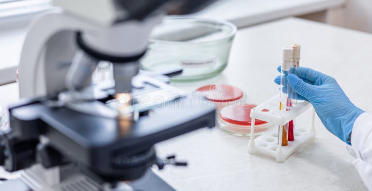 Laboratory Test-tubes and Retorts. Test Tubes with Samples for Analysis ...