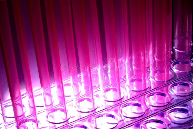 Laboratory Test Tubes in Science Research Lab Stock Image - Image of ...