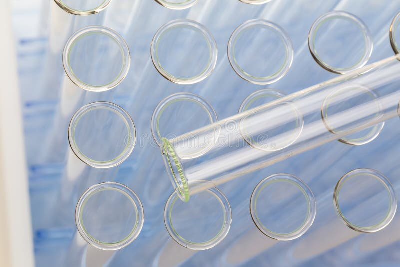Laboratory test tubes stock image. Image of chemistry - 79822909