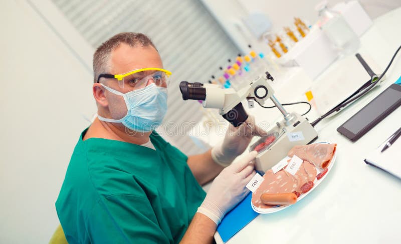 Laboratory Testing of Cured Meat Products Stock Photo - Image of ...
