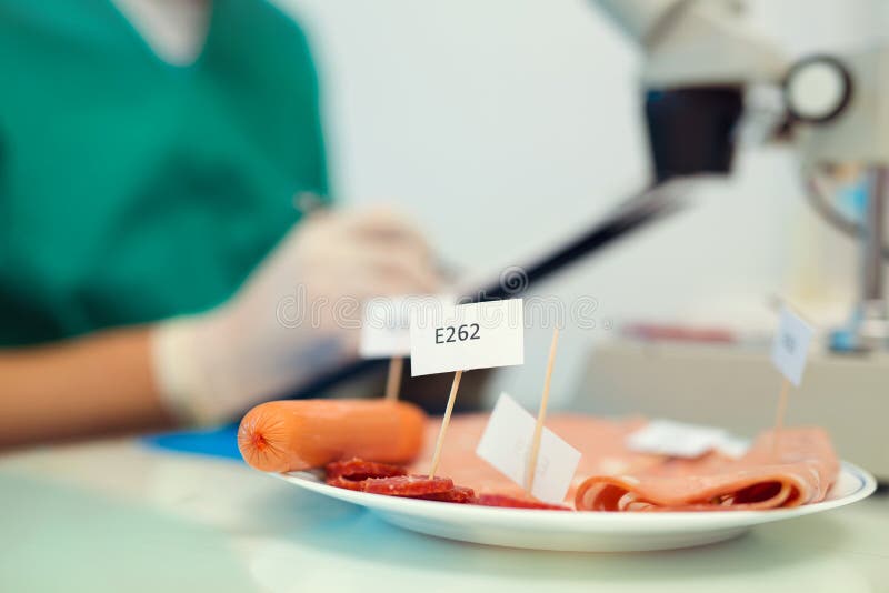 Laboratory Testing of Cured Meat Products Stock Image - Image of ...