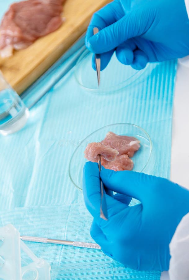 Laboratory Testing of Different Food Products. Selective Focus Stock ...