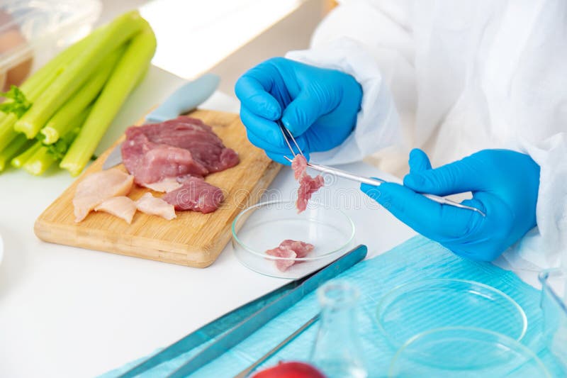 Laboratory Testing of Different Food Products. Selective Focus Stock ...