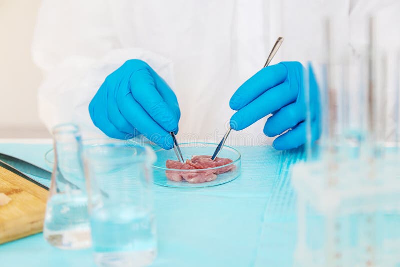 Laboratory Testing of Different Food Products. Selective Focus Stock ...