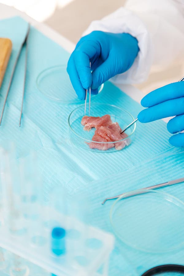 Laboratory Testing of Different Food Products. Selective Focus Stock ...