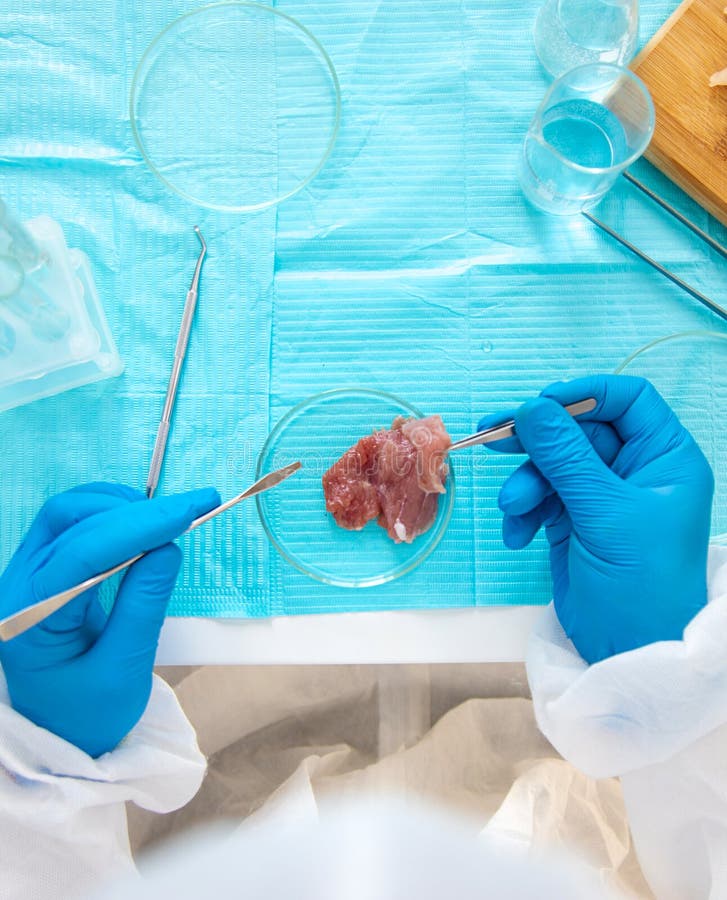 Laboratory Testing of Different Food Products. Selective Focus Stock ...