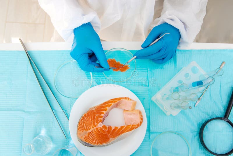 Laboratory Testing of Different Food Products. Selective Focus Stock ...