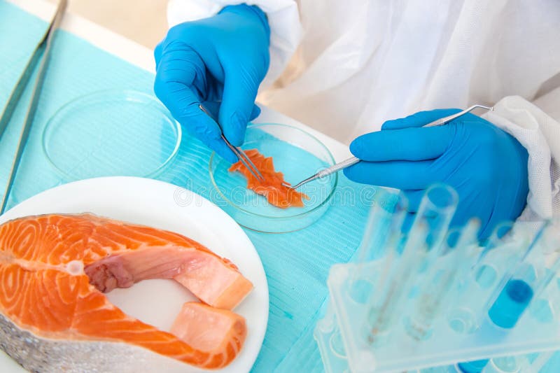 Laboratory Testing of Different Food Products. Selective Focus Stock ...