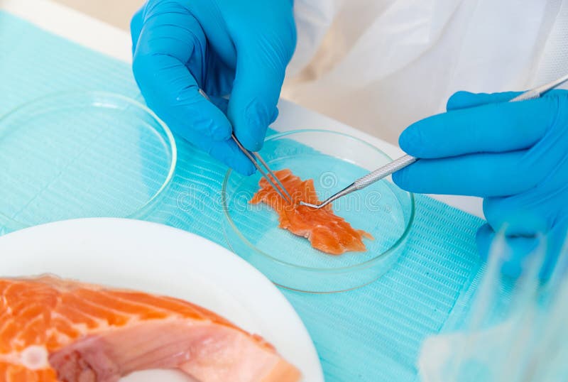 Laboratory Testing of Different Food Products. Selective Focus Stock ...