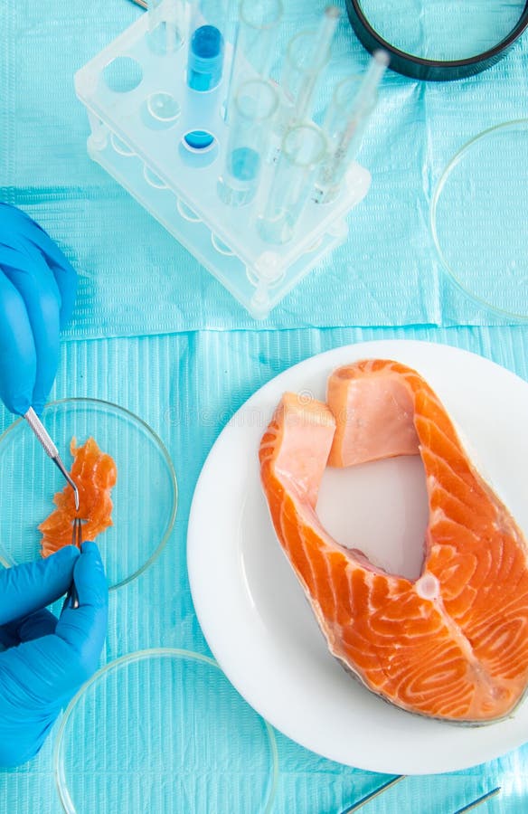 Laboratory Testing of Different Food Products. Selective Focus Stock ...