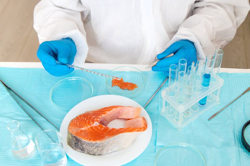 Laboratory Testing of Different Food Products. Selective Focus Stock ...