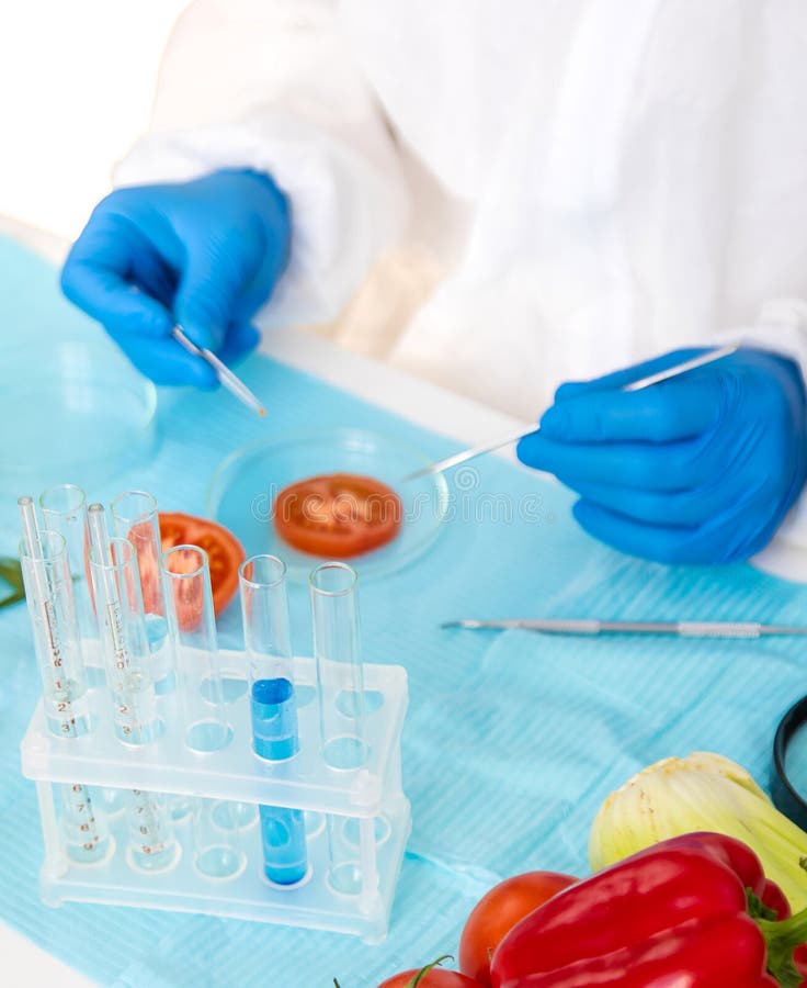 Laboratory Testing of Different Food Products. Selective Focus Stock ...