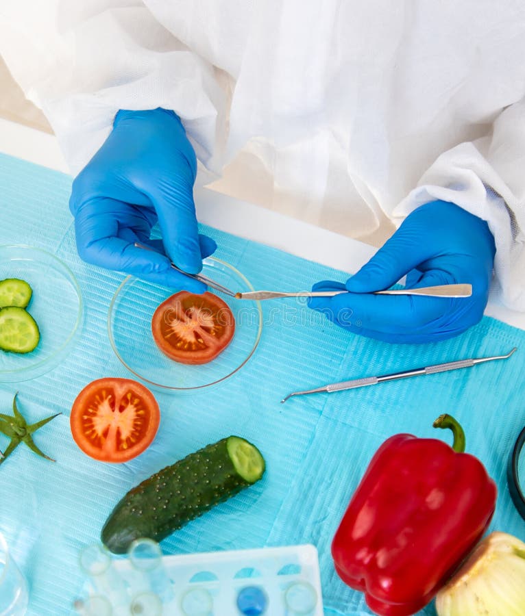 Laboratory Testing of Different Food Products. Selective Focus Stock ...