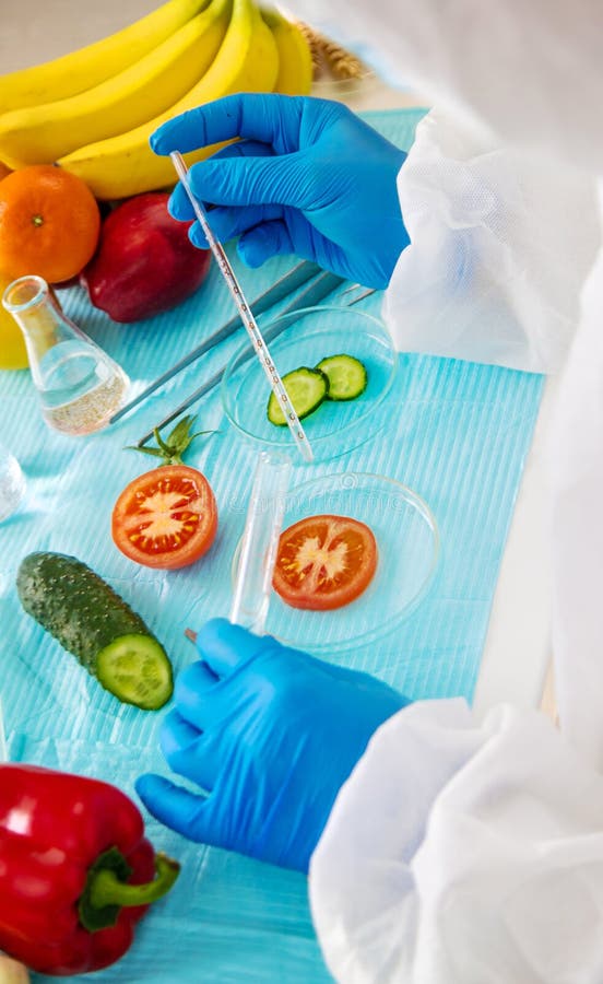 Laboratory Testing of Different Food Products. Selective Focus Stock ...