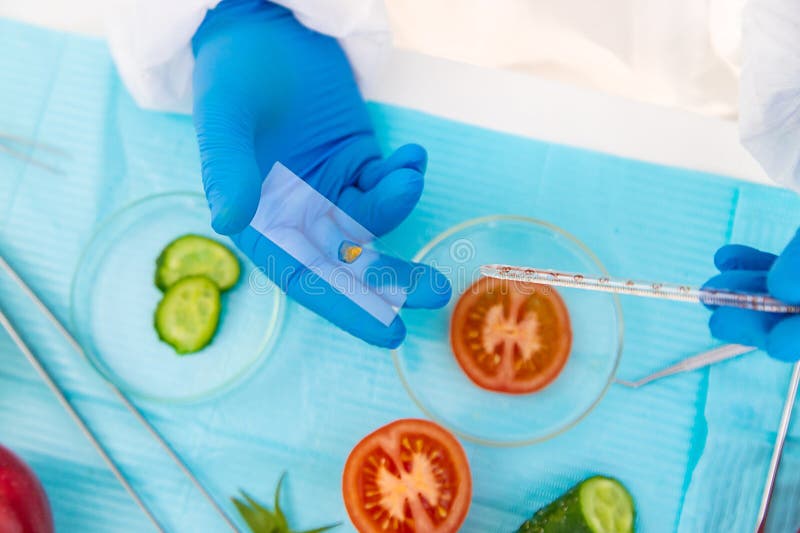 Laboratory Testing of Different Food Products. Selective Focus Stock ...