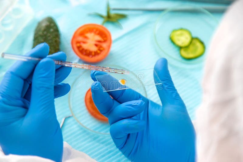 Laboratory Testing of Different Food Products. Selective Focus Stock ...