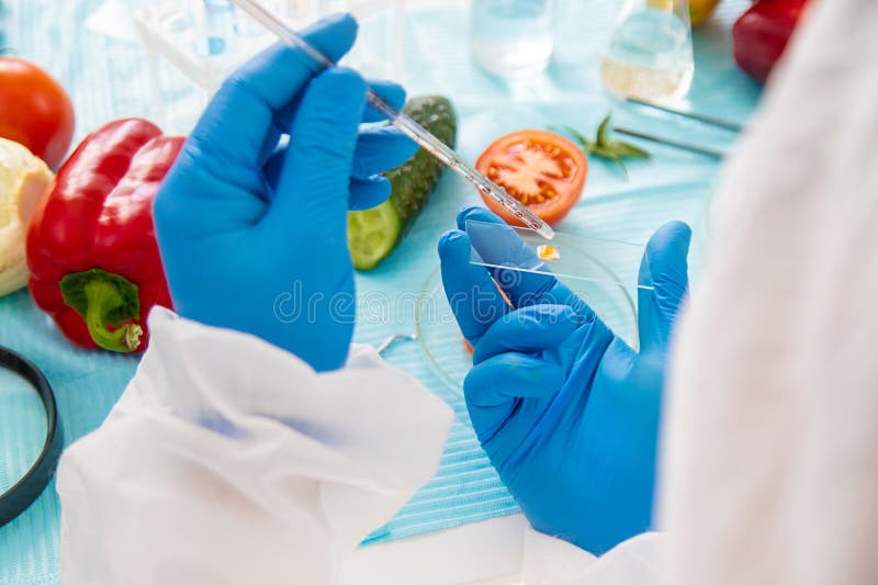 Laboratory Testing of Different Food Products. Selective Focus Stock ...