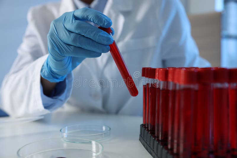 Laboratory Testing. Doctor Taking Test Tube with Blood Sample from Rack ...