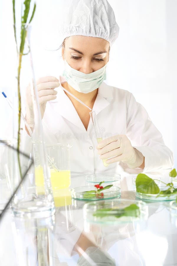 Laboratory Testing Plant Samples Stock Photo - Image of medical, plant ...