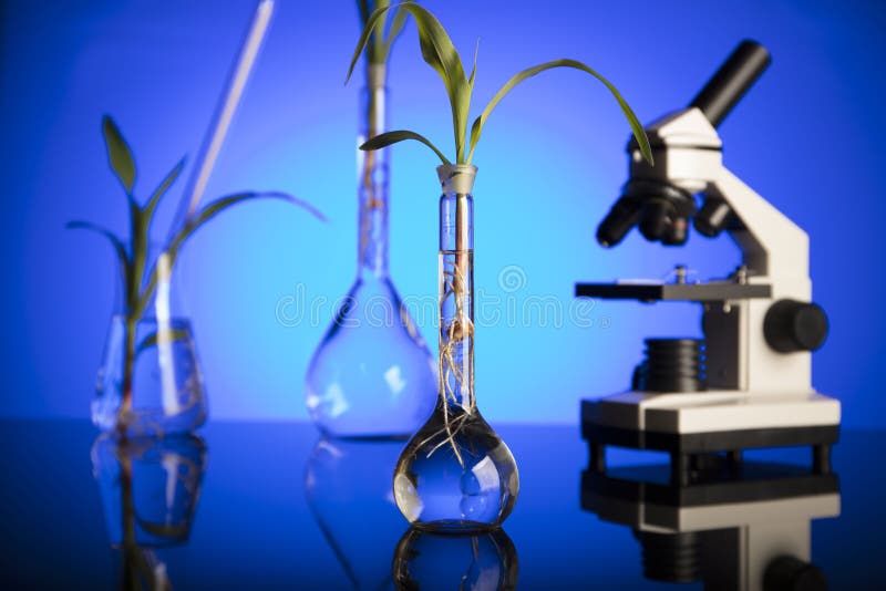 Science Theme. Modern Scientific Laboratory Interior. Stock Image ...