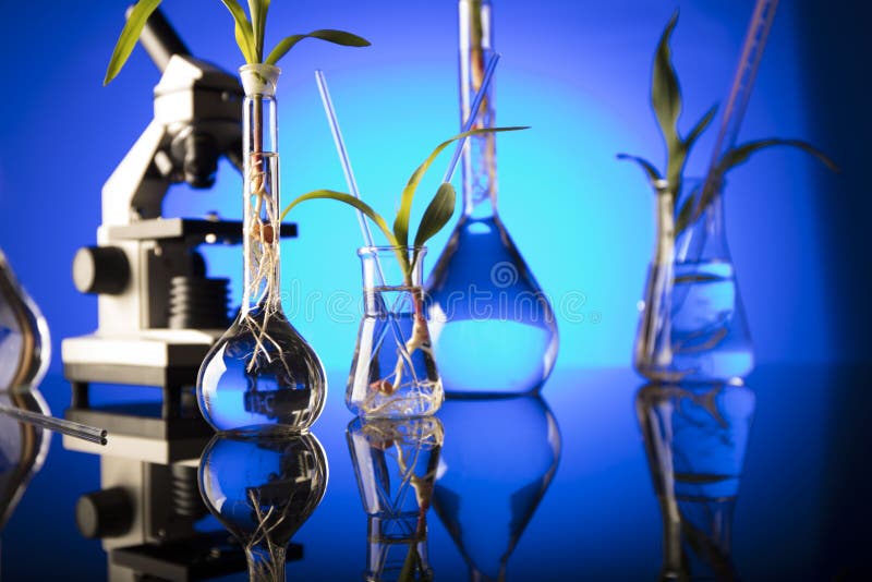 Science Theme. Modern Scientific Laboratory Interior. Stock Photo ...