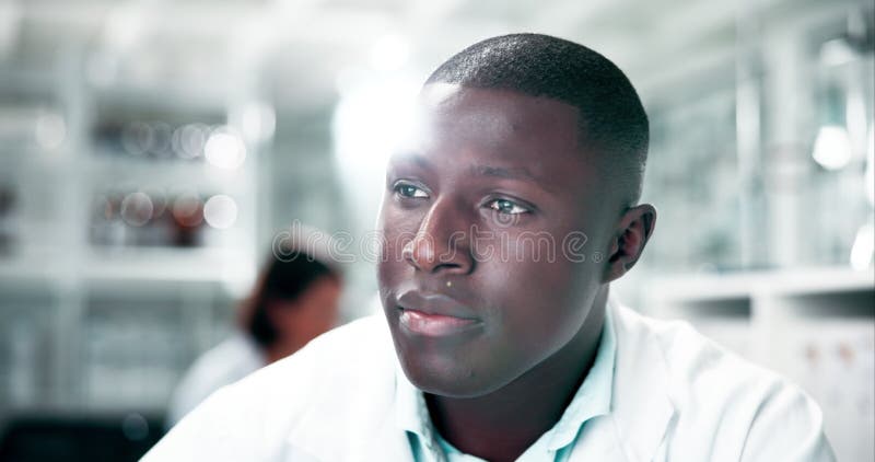 Laboratory, Thinking and Black Man at Computer, Reading Research for ...