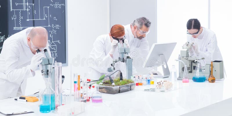Laboratory Under Microscope Analysis Stock Image - Image of grass ...