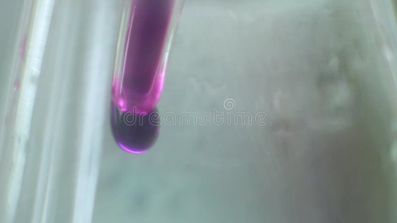 In the Laboratory, a Violet Liquid Flows Out of the Pipette Stock Video ...