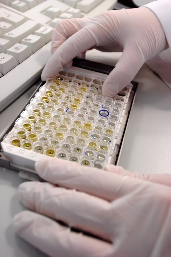 Laboratory work stock image. Image of blood, glove, exam - 8379773