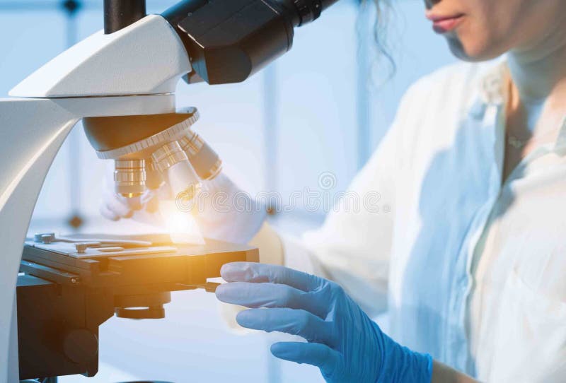 Laboratory Work in a Microbiology Class at the University Stock Photo ...