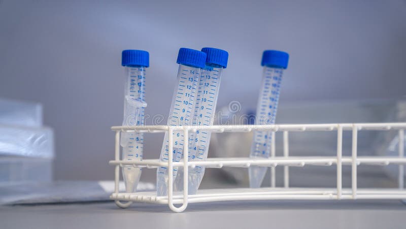Laboratory Work at a Sterile Bank. Splitting Cells in a Cell Culture ...