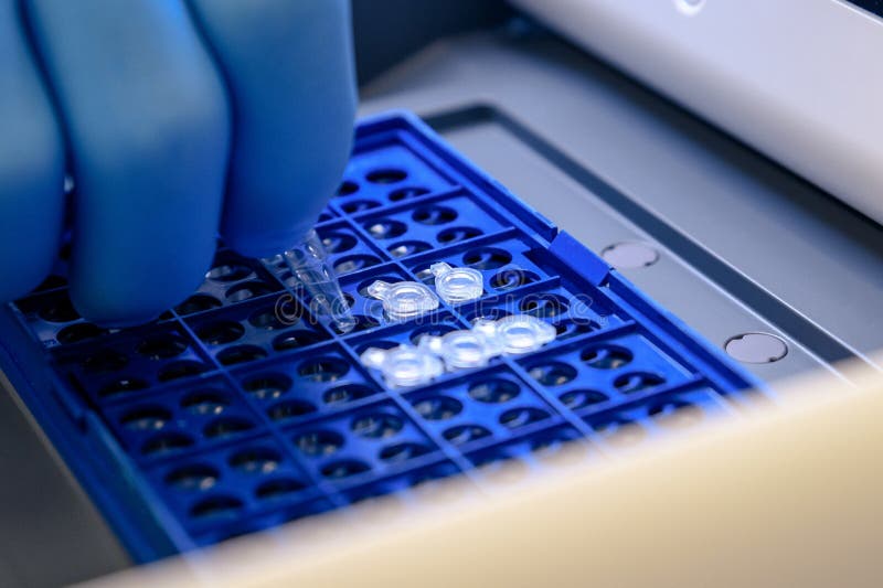 A Laboratory Worker Arranging Pipette Tips in a Blue Container for a ...