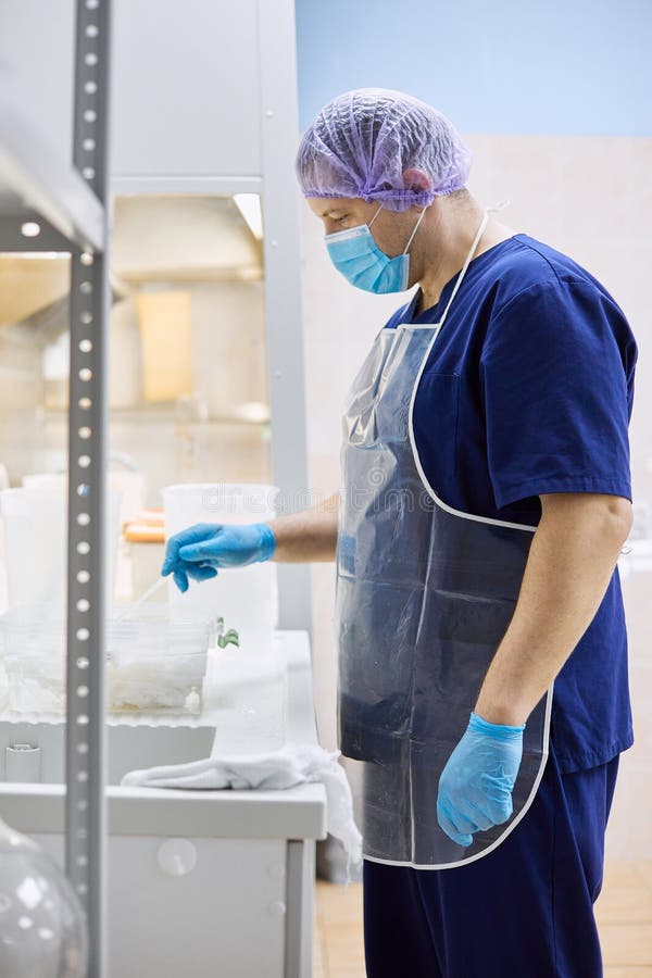 A Laboratory Worker Checks the Condition of the Samples before Testing ...