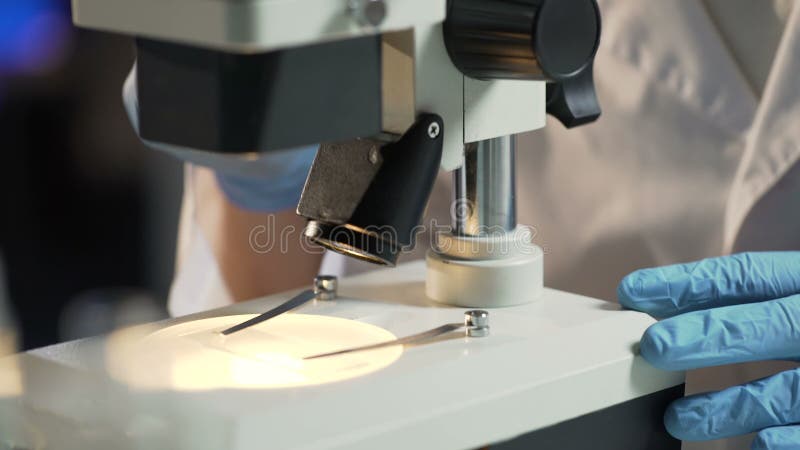Laboratory Worker Examining Samples Under Microscope in Clinic ...