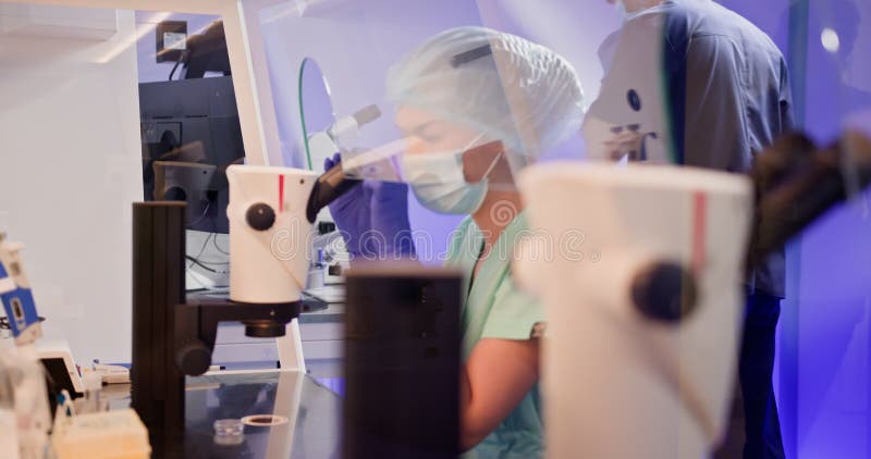 Laboratory Worker Examining Samples Under Microscope in Clinic ...