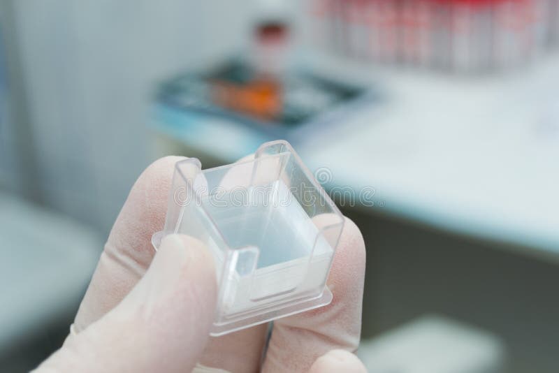 Laboratory Worker Holding in His Hand a Plastic Box with Microscopic ...