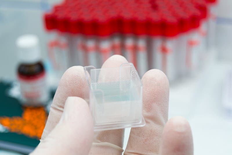Laboratory Worker Holding in His Hand a Plastic Box with Microscopic ...
