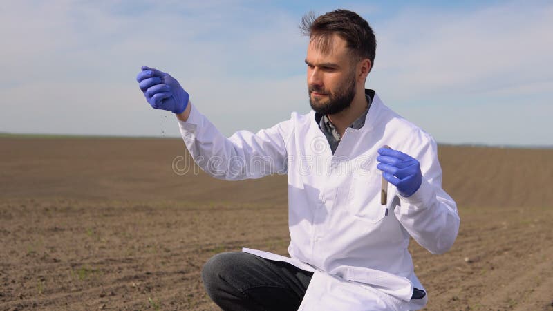 Laboratory Worker Holding Professional Glassware and Testing Black Soil ...