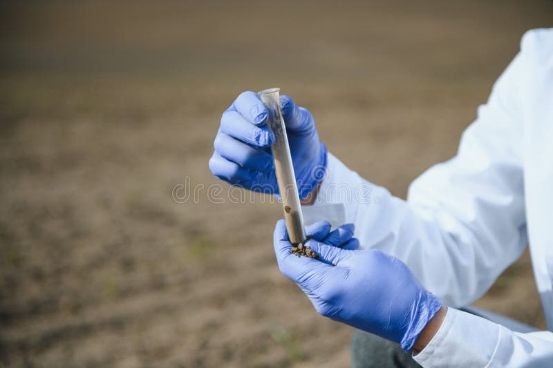 Laboratory Worker Holding Professional Glassware and Testing Black Soil ...