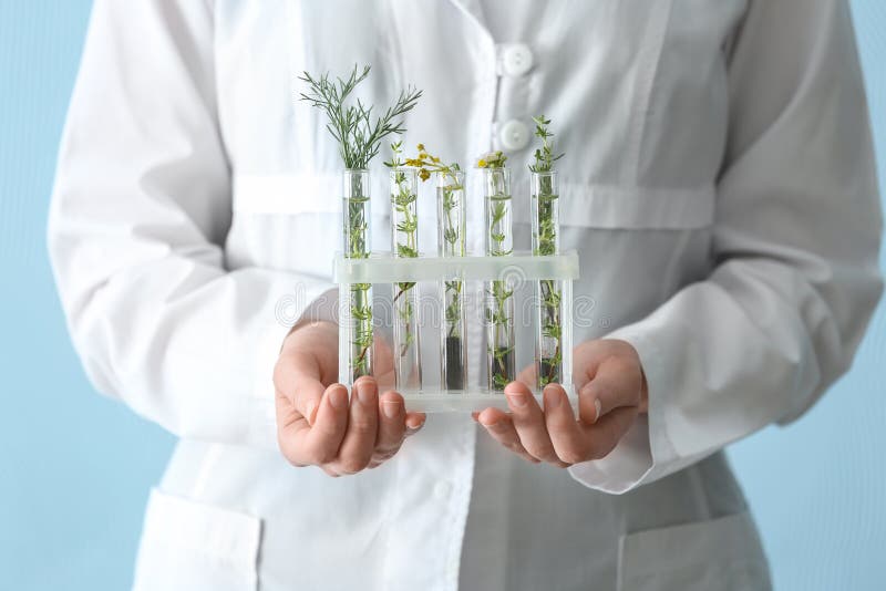 Laboratory Worker Holding Test Tubes with Plants on Color Background ...