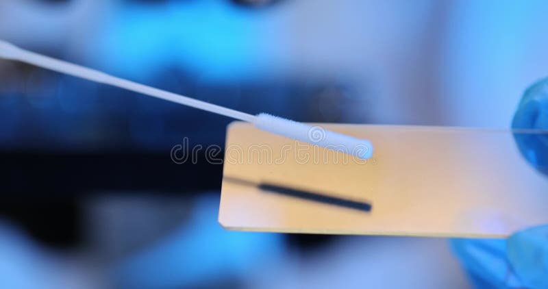 Laboratory Worker Makes Smear Onto Glass Stock Video - Video of ...