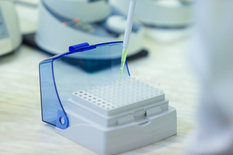 Laboratory Worker Puts Samples into a Tray Making Analysis for Immunity ...