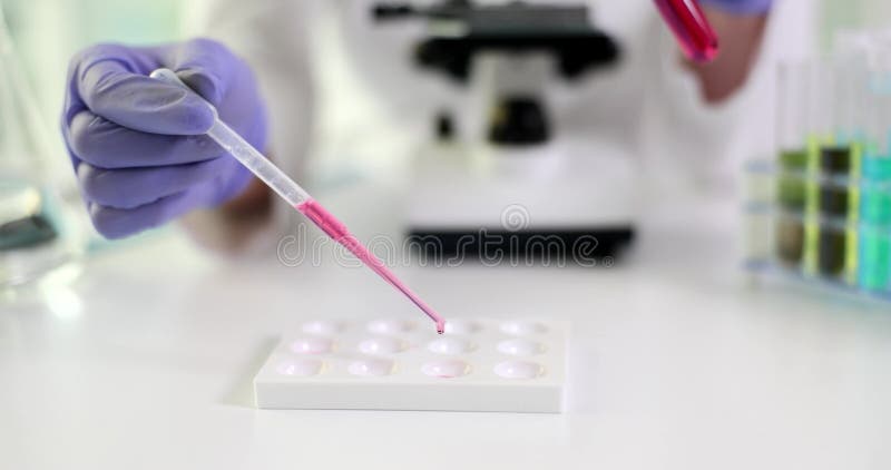 Laboratory Worker in Gloves Drips Pink Reagent with Pipette Stock ...