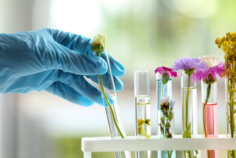 Laboratory Worker Taking Test Tube with Plant, Closeup Stock Image ...