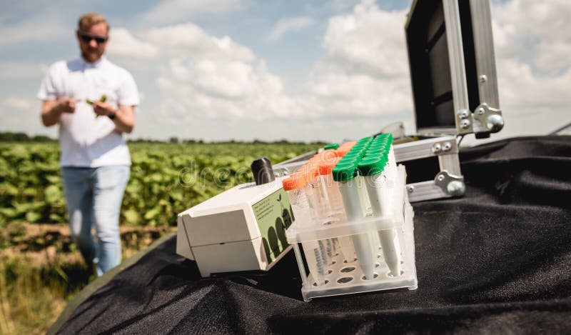 Laboratory Worker Testing Plant Sprouts before Harvest in the Field ...