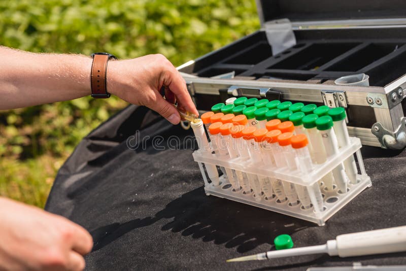 Laboratory Worker Testing Plant Sprouts before Harvest in the Field ...