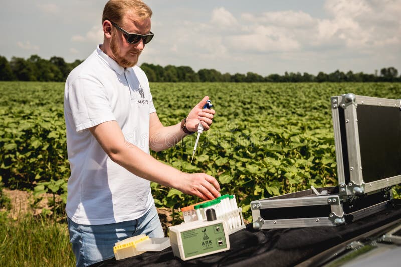 Laboratory Worker Testing Plant Sprouts before Harvest in the Field ...