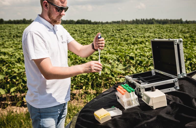 Laboratory Worker Testing Plant Sprouts before Harvest in the Field ...