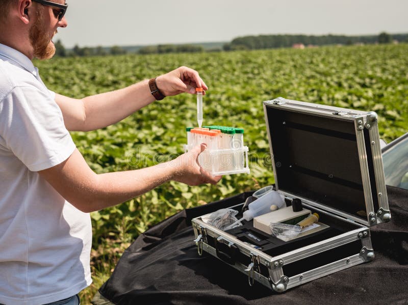 Laboratory Worker Testing Plant Sprouts before Harvest in the Field ...