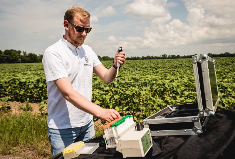 Laboratory Worker Testing Plant Sprouts before Harvest in the Field ...